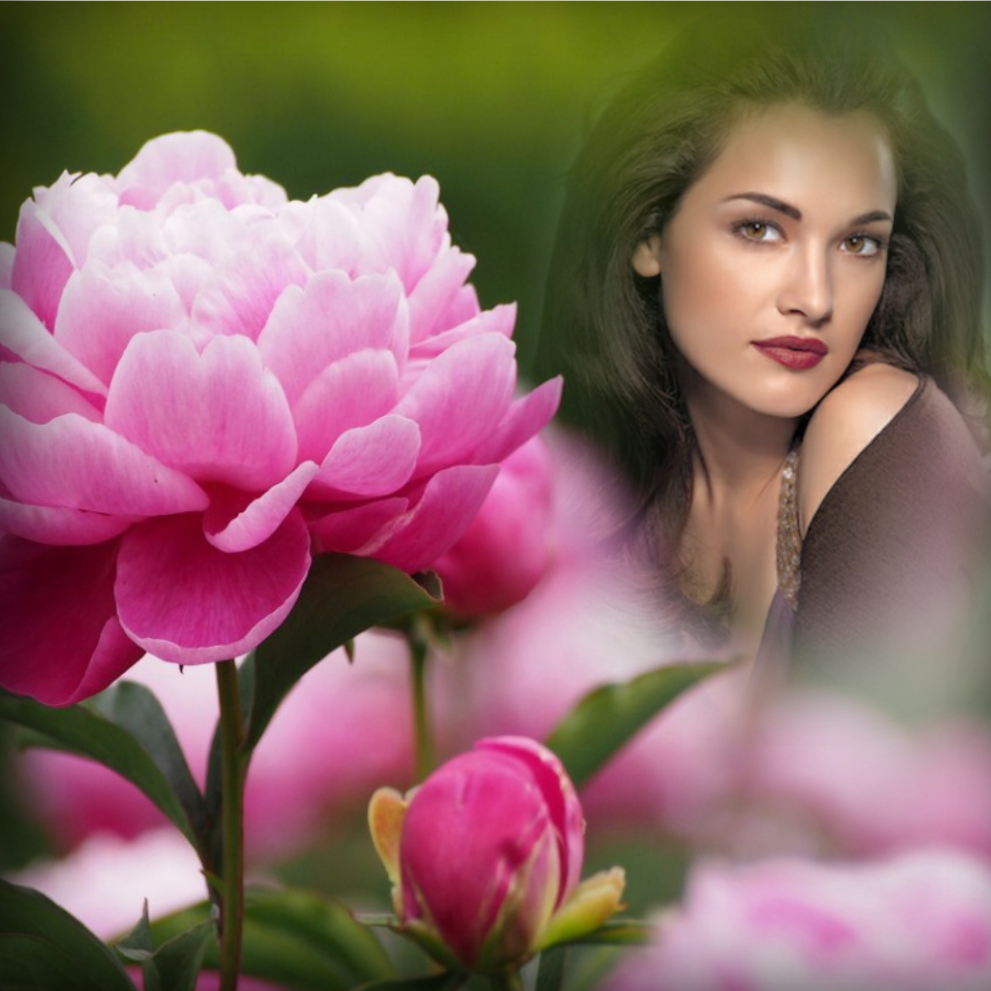 Elizabeth's GOOD MORNING/DAY/NIGHT ⭐️ 1/3 - Good Morning Pink Rose ...