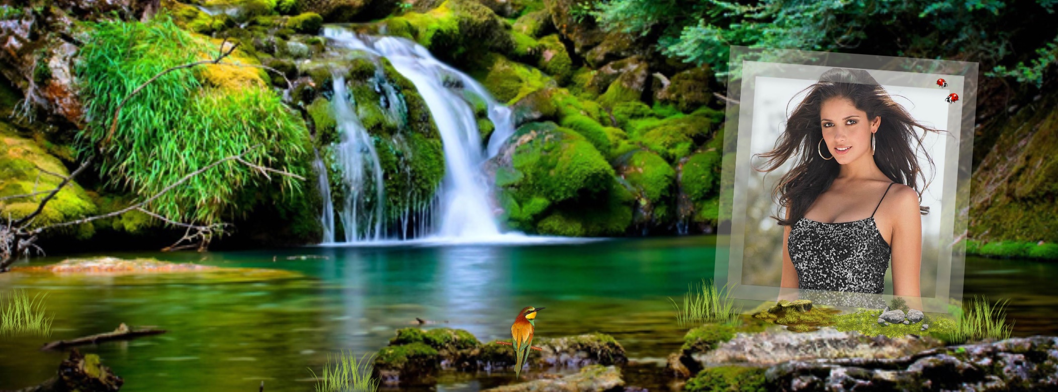 Elizabeth's FACEBOOK PROFILE COVER 🟦 - Facebook Profile Cover Social ...