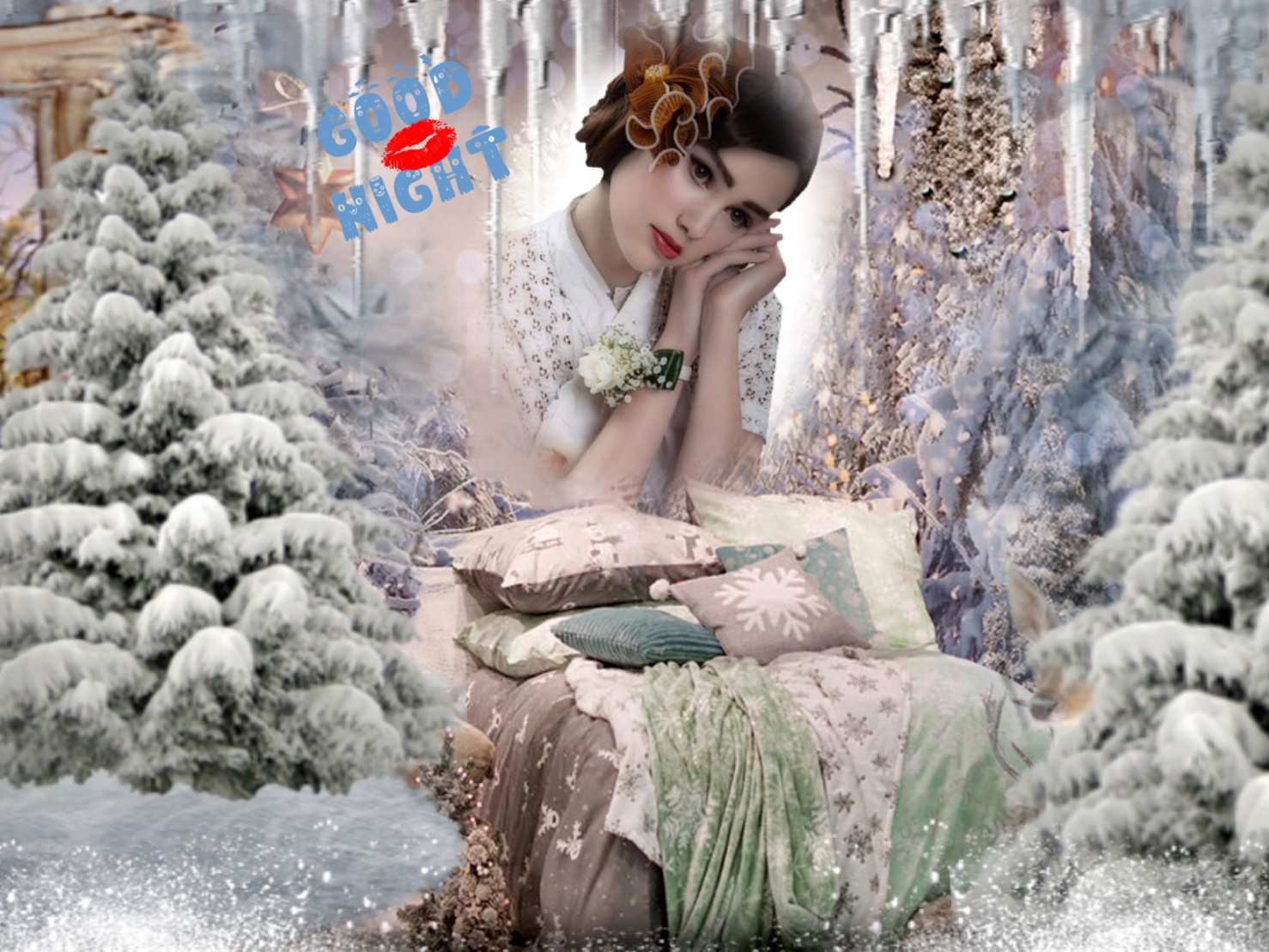 Wienie Coppen's Flowers,Goodnight,Sunset - bed goodnight winter - bed ...