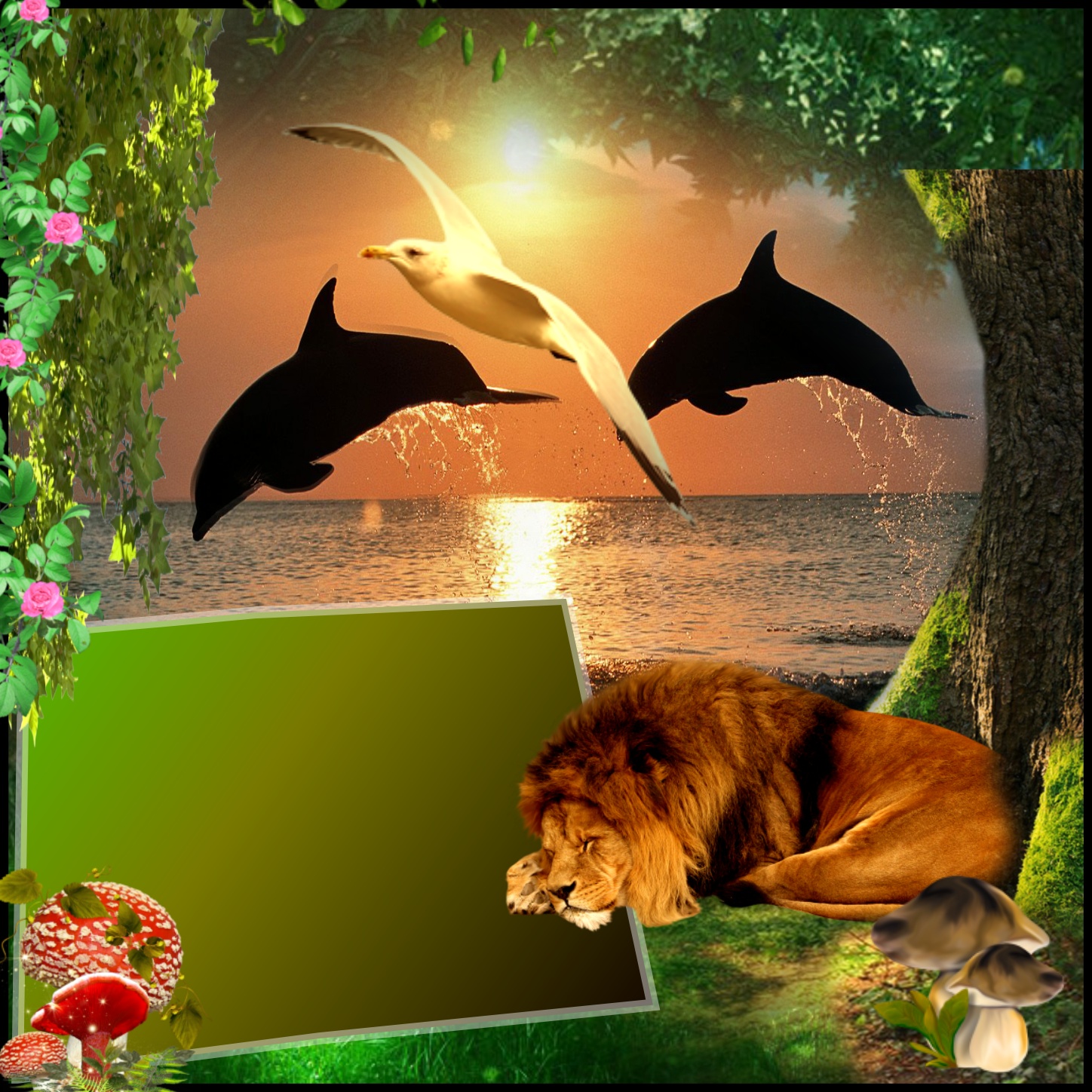 bruecke's Sunsets, Scenery and Nature Frames - 2013 September - 2014 ...