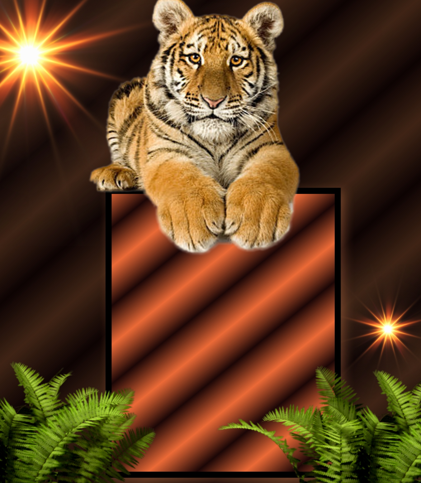 It'sMichelle's Wildlife Frames - 2015 May - Beautiful Tiger Horror02 ...