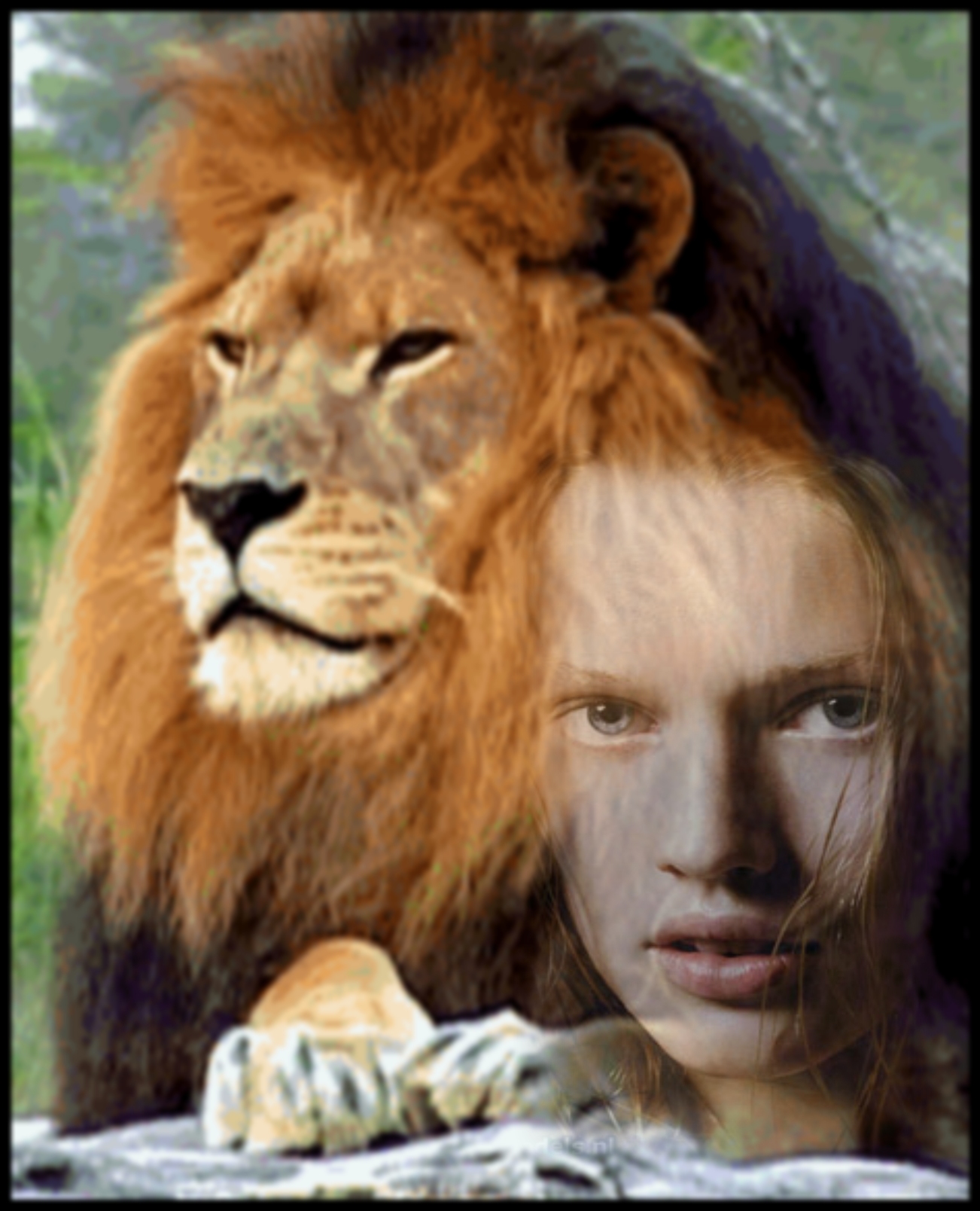 JUANI_09's Wildlife Frames - 2009 March - 2012 - animated lion Juani09 ...