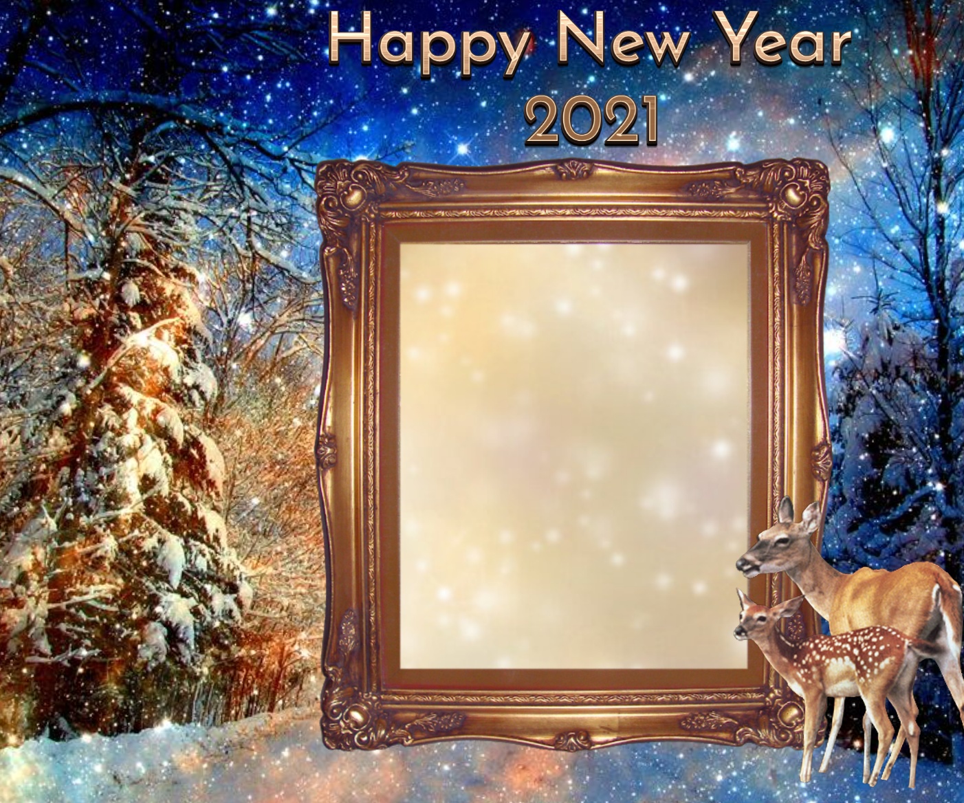 Emily50's New Year's Eve Frames - Happy New Year 2021 Emily50Cheers ...