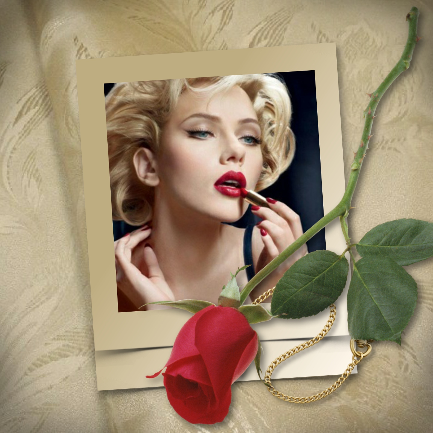 Jezebel64's Photo(s) Albums - Polaroid Red Rose Portrait - Polaroid Red ...