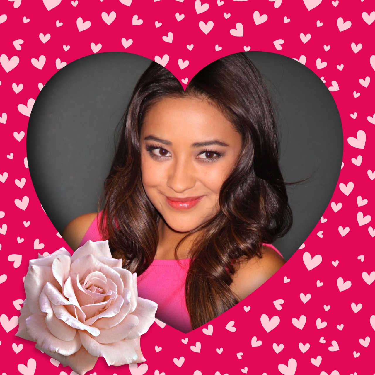 Elizabeth's LOVE/ROMANCE 😍 2/2 - Love Valentines Day Pink Rose ...