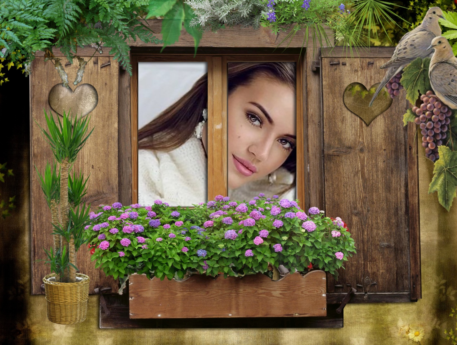 Emily50's Nature - nature Love ...