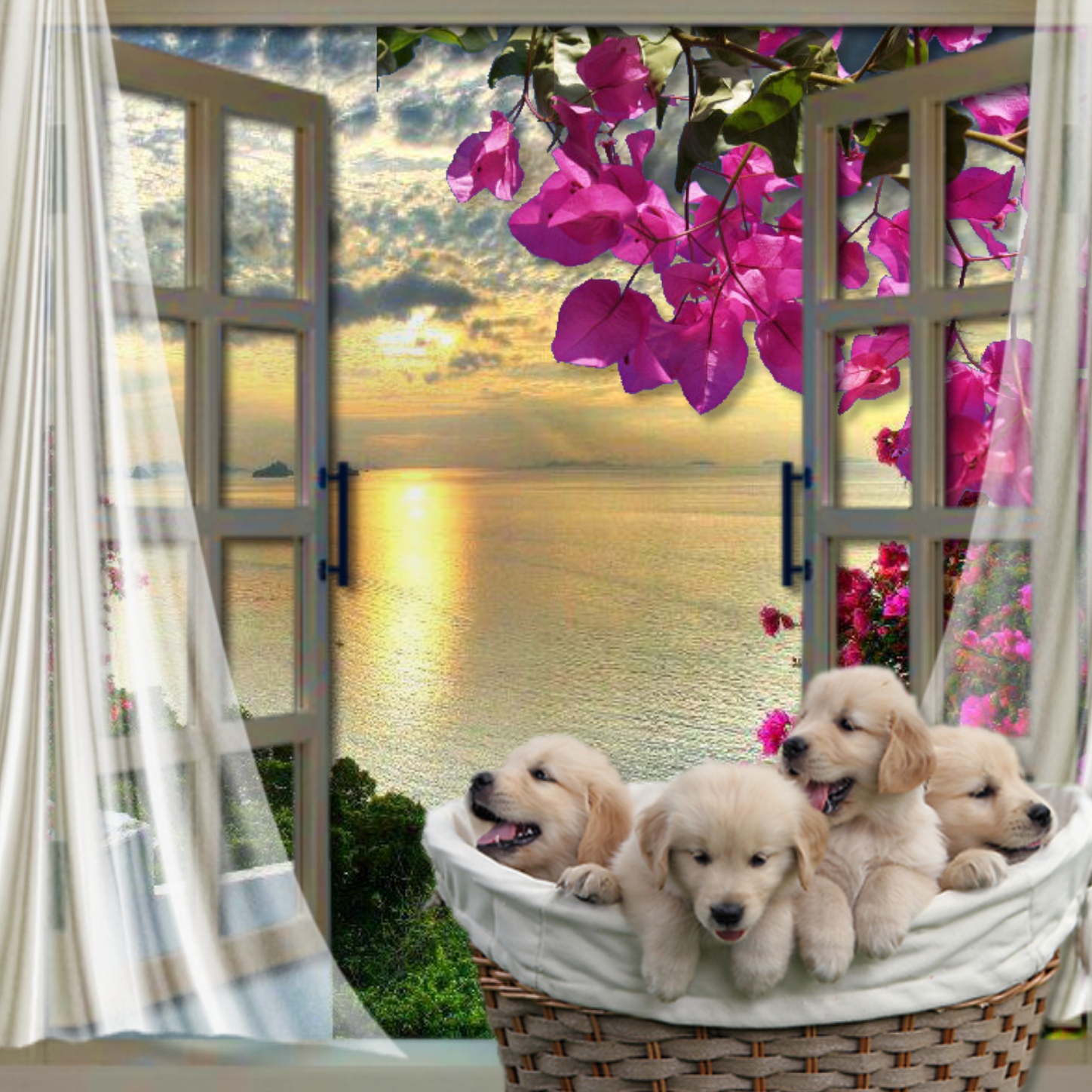 lissy's GoodMorning 🌞 GoodNight - Pictures - lissy - lissy-guten morgen ...