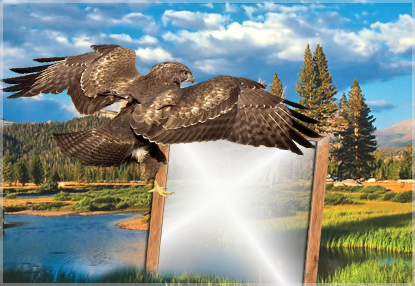 evmasy's New Hampshire Frames - 2007 - 2015 - eagle dream frame eagle ...