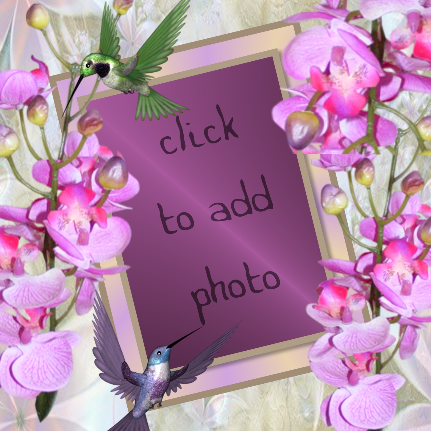 TAMMYBRANTLEY's Picture Frames - 2012 April - Hummingbirds ...