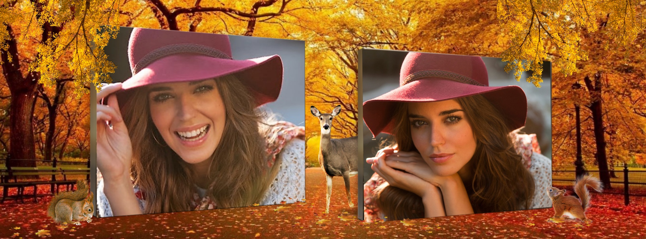 Elizabeth's FACEBOOK PROFILE COVER 🟦 - Autumn Fall Autumn Facebook ...