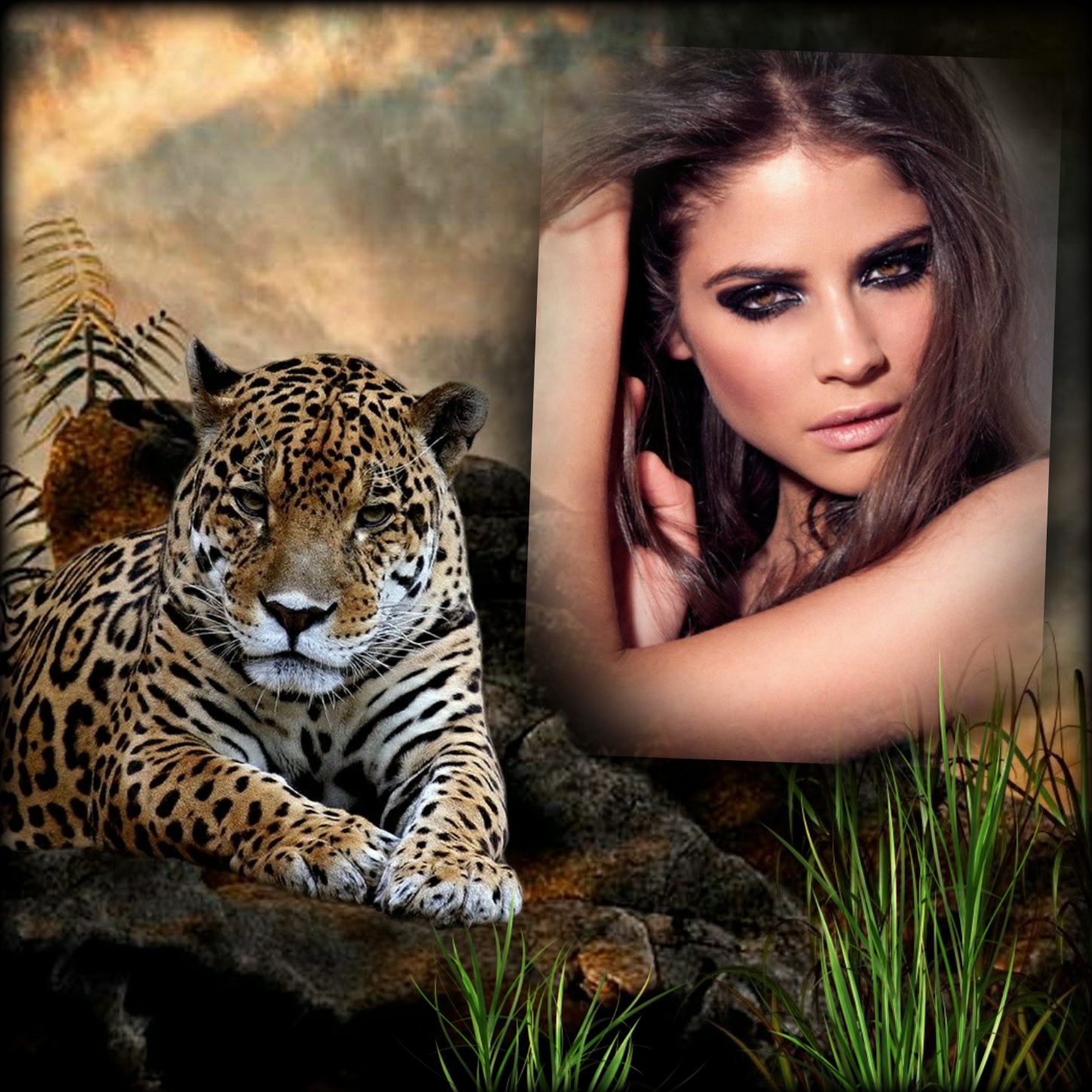 Elizabeth's ANIMALS & WILDLIFE 🙈 - Leopard Elizabeth - Leopard Elizabeth