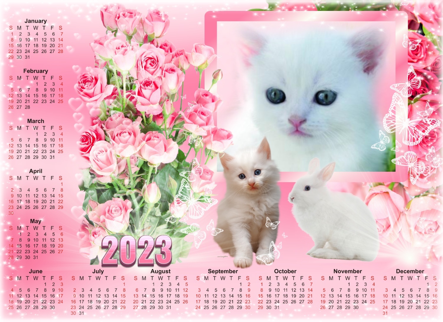 Sinnlich's Cat Frames - 2021 - 2025 - Sinnlich's Cat Frames - 2021 - 2025