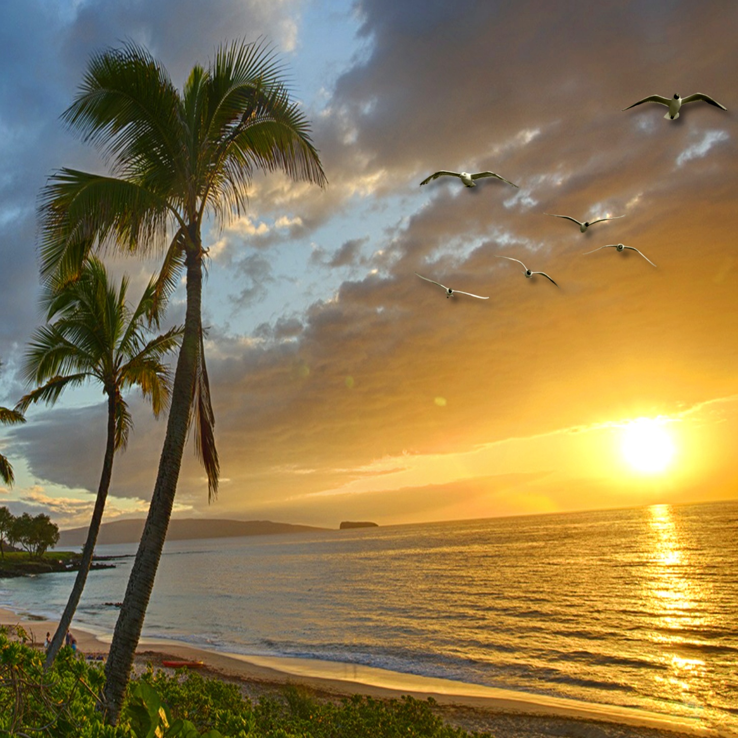 lissy's GoodMorning 🌞 GoodNight - 2016 July - sunset Lissy005 good ...