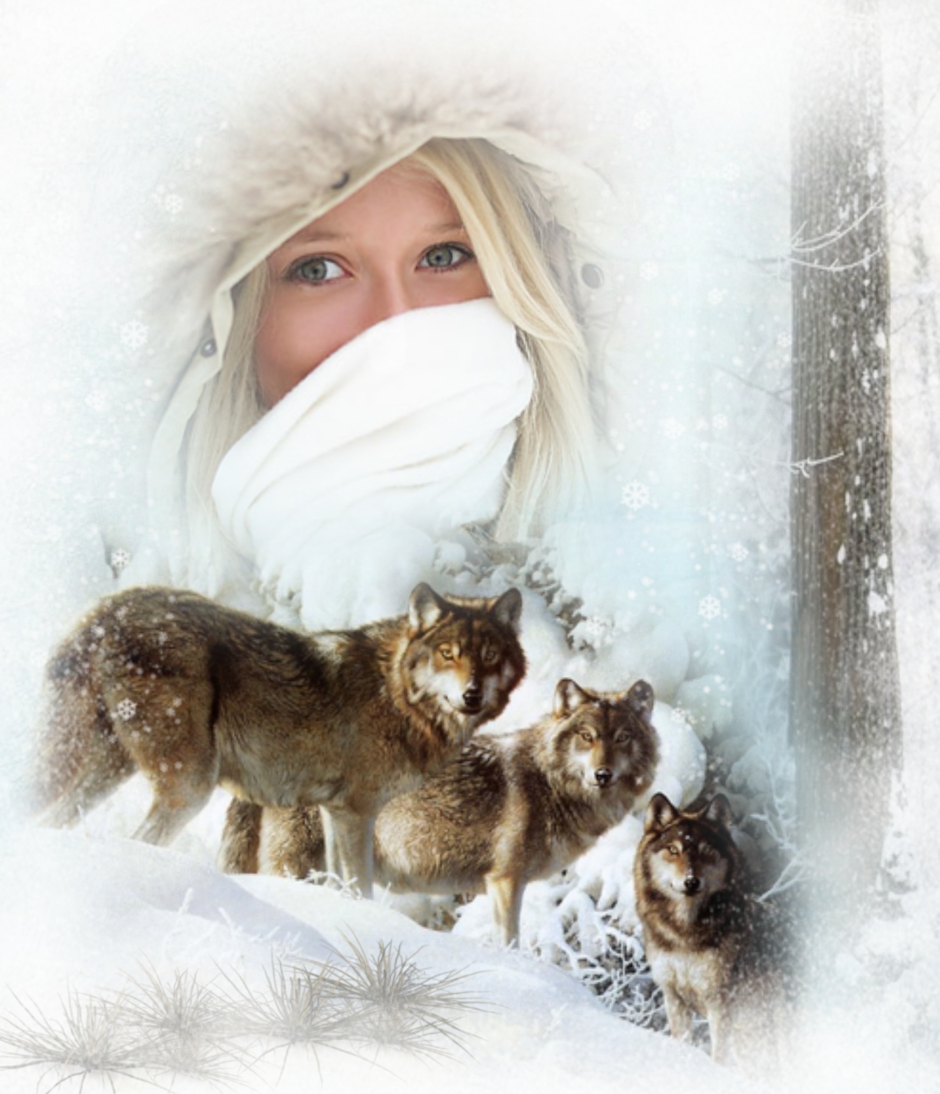 Jezebel64's Winter - Wolves Winter Jezebel64 Snow - Wolves Winter ...