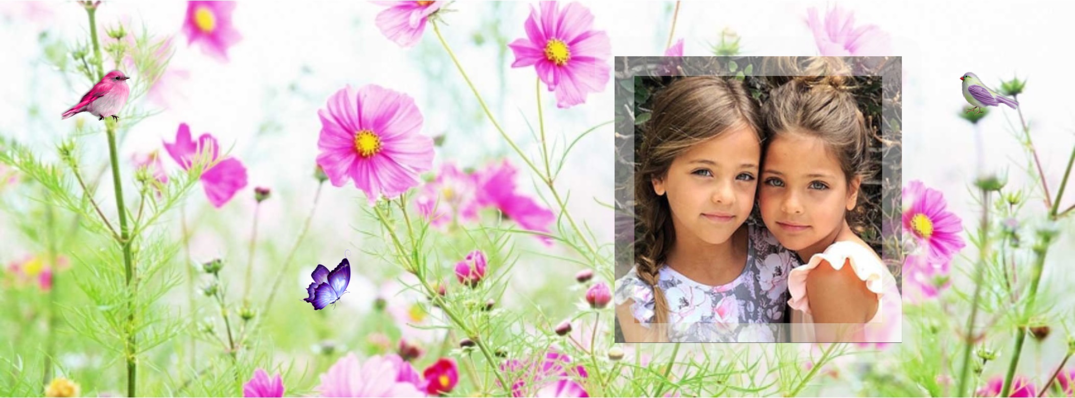 Elizabeth's FACEBOOK PROFILE COVER 🟦 - Facebook Profile Cover Social ...