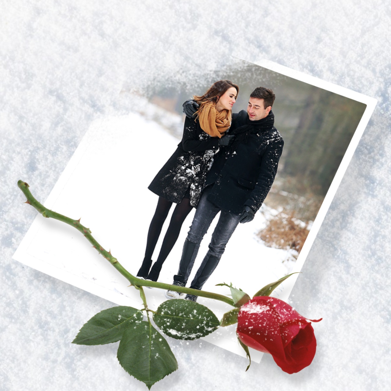 Jezebel64's Winter - Winter Snow Jezebel64 Red Rose Love Romance ...