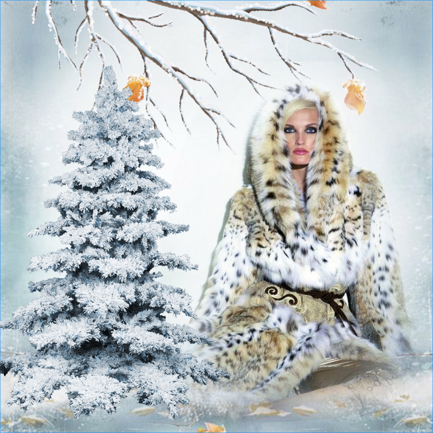 Marija K.'s Winter Frames - 2011 - Blue Winter Frisco Paco - Blue ...