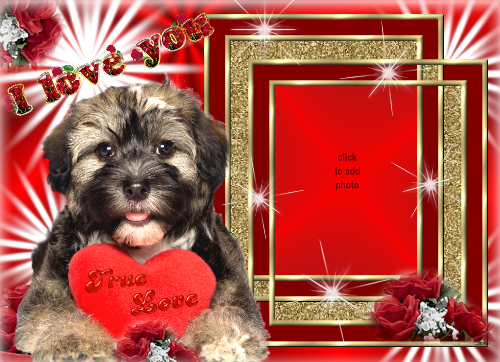 Sinnlich's I Love You Frames - Love Collage - True Love Sinnlich i Love ...