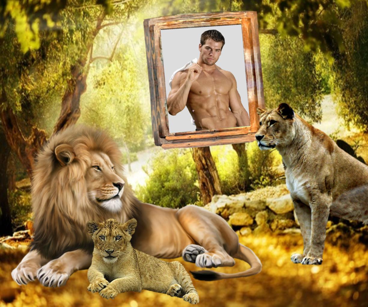 pussycatlady22's Wildlife Frames - Beautiful Lion Family And Me ...