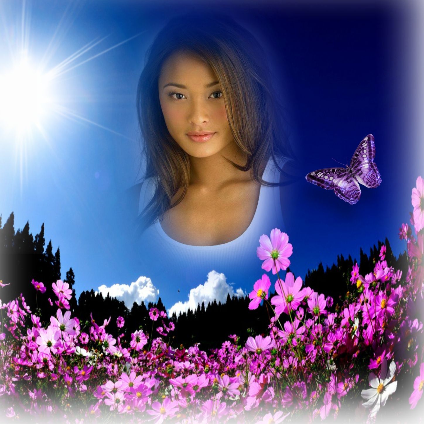 Elizabeth's SUMMER 😎 - Summer Summer Solstice Nature - Summer Summer ...