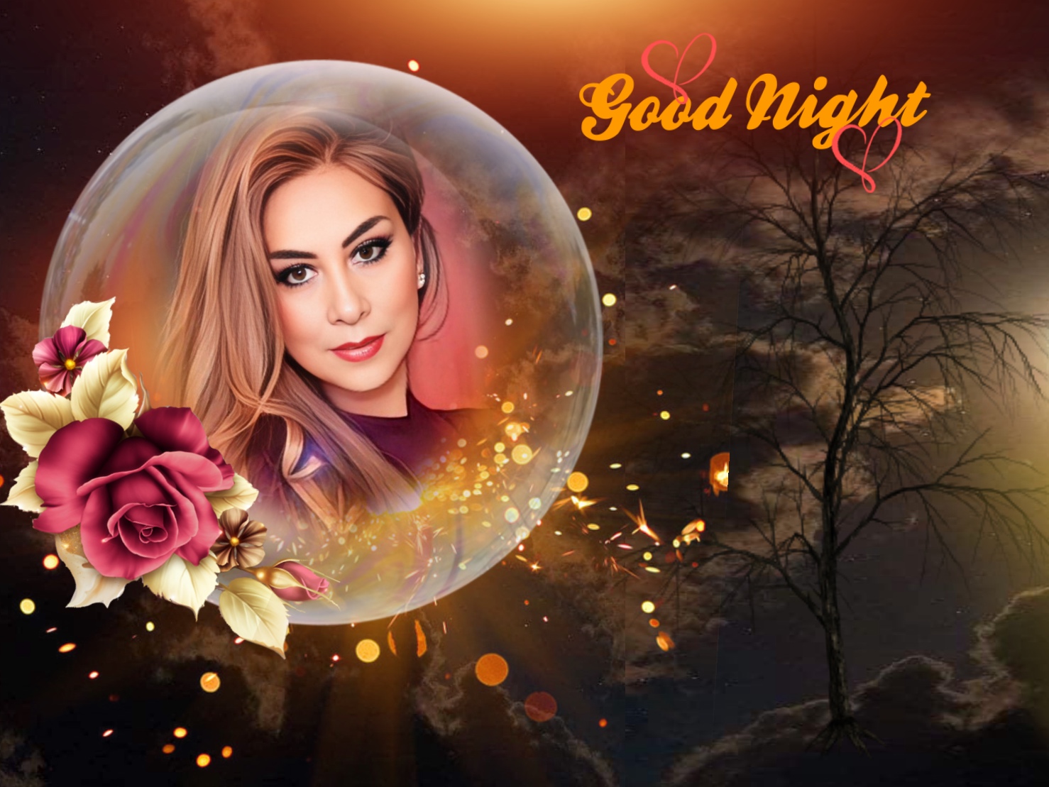 Wienie Coppen's Flowers,Goodnight,Sunset - fullmoon goodnight rose ...