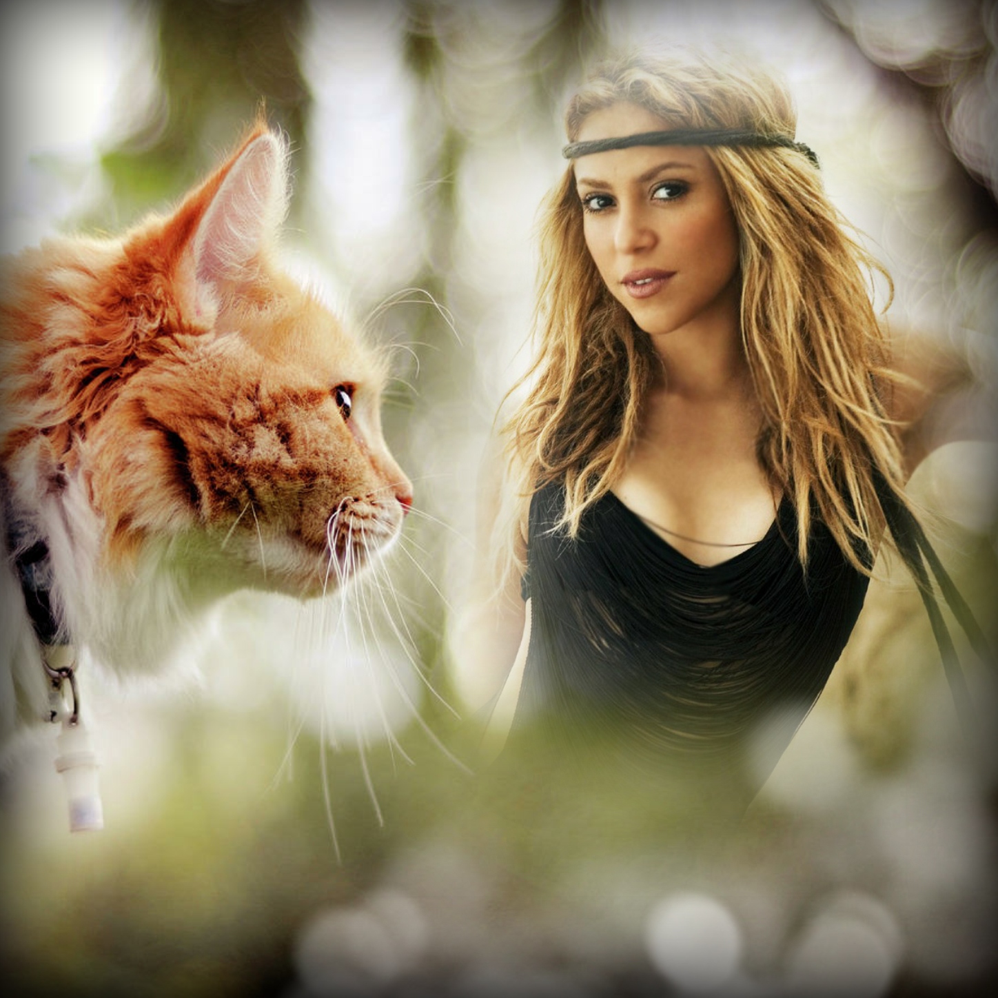 Elizabeth's CATS & DOGS 🐱 🐶 - Cats Pets Elizabeth - Cats Pets Elizabeth