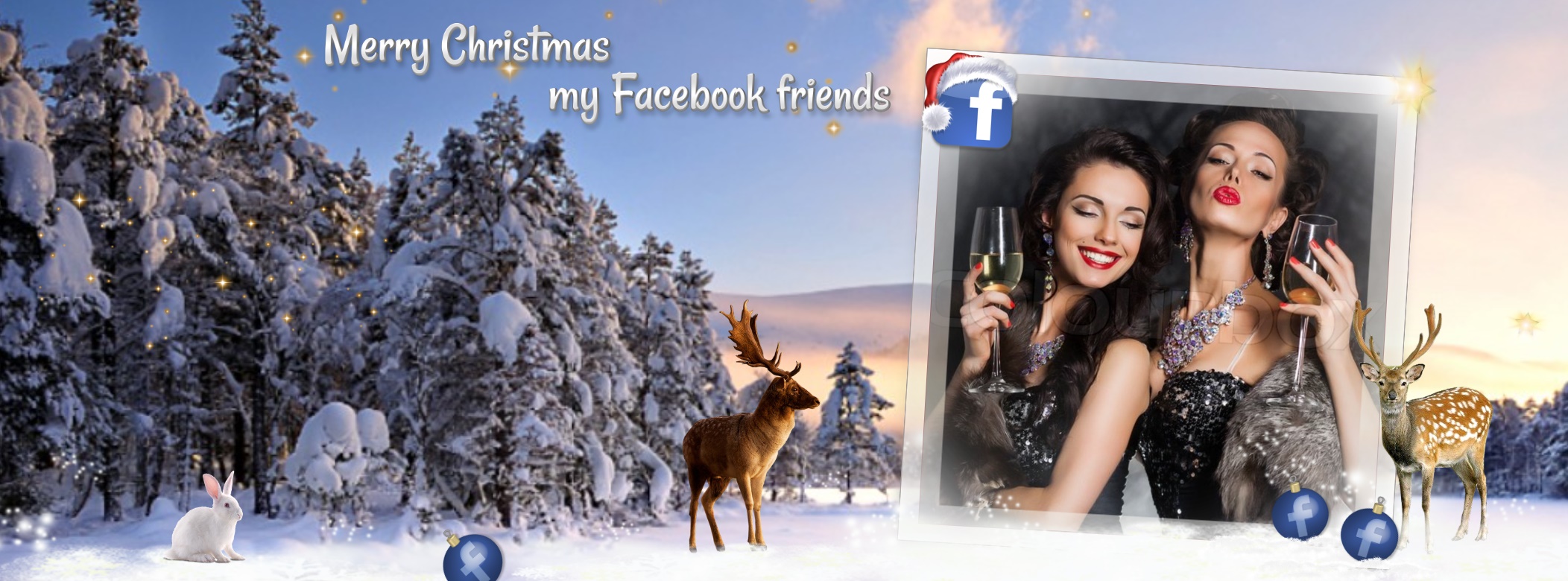 Elizabeth's FACEBOOK PROFILE COVER 🟦 - Merry Christmas Christmas ...