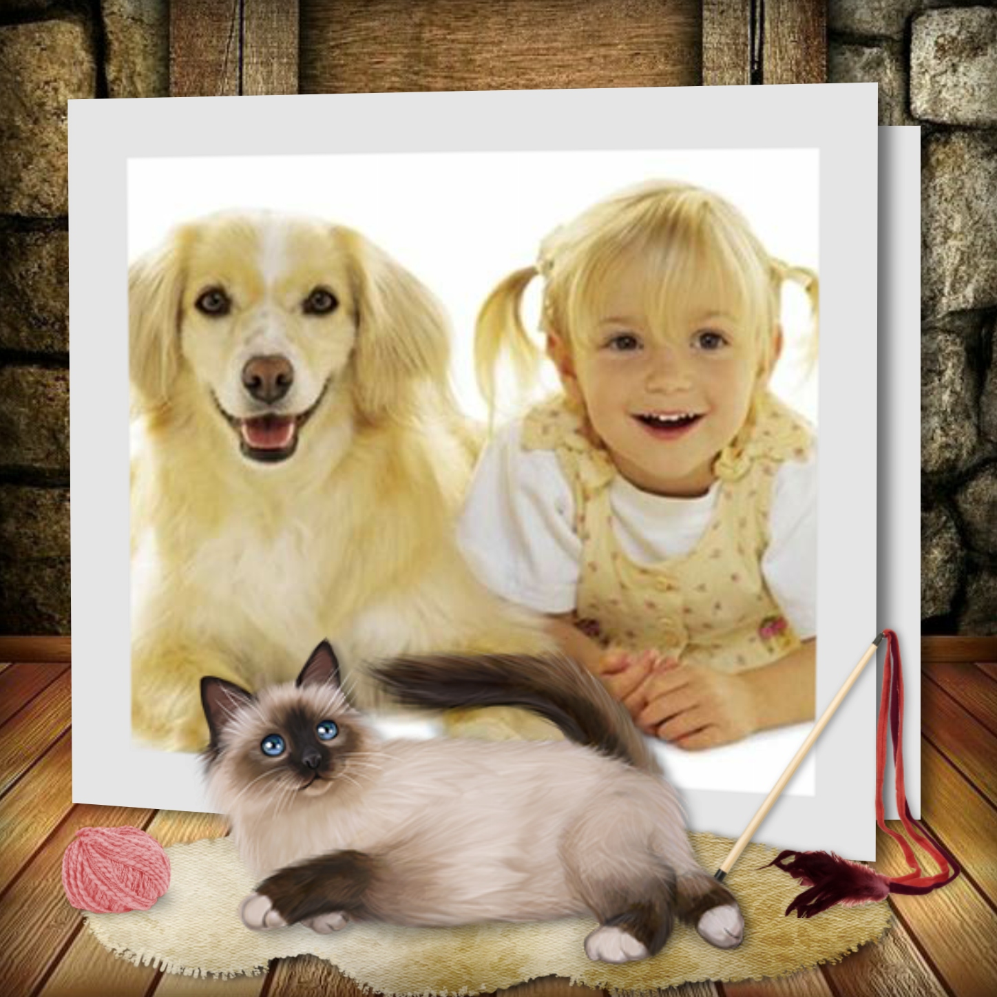 Elizabeth's CATS & DOGS 🐱 🐶 - Cats Pets Elizabeth - Cats Pets Elizabeth