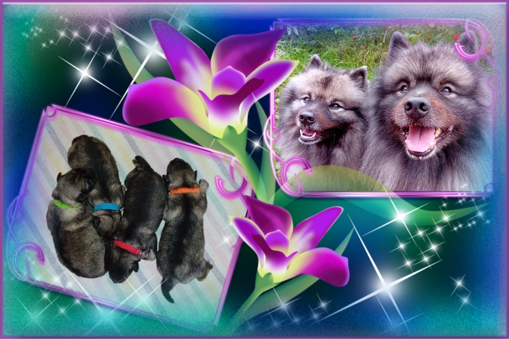 Stephanie Schneider's First Stream - Stephanie Schneider's First Stream