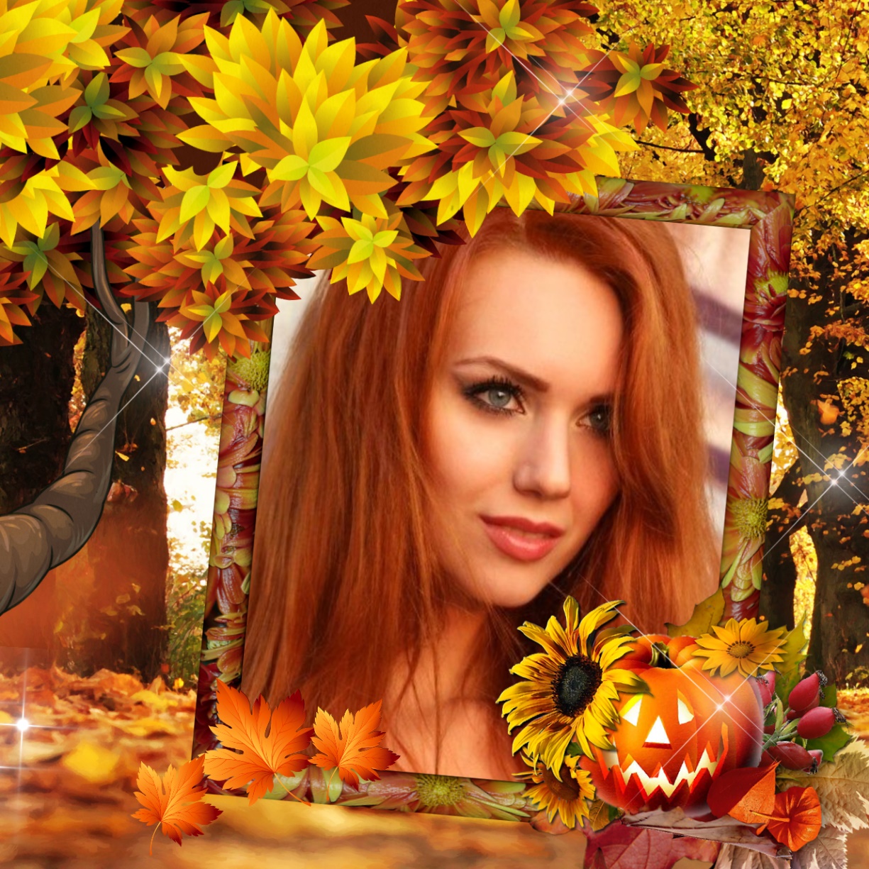 Barbara s AutumnFallThanks Giving Autumn Leaves Nature Autumn