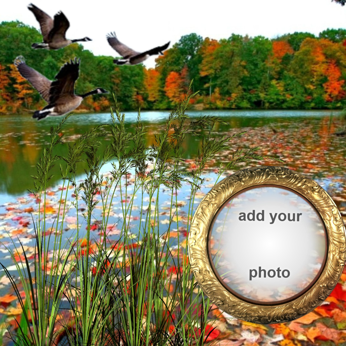Elaine's Fall Frames - 2017 September - Fall on the Lake Fall on the ...