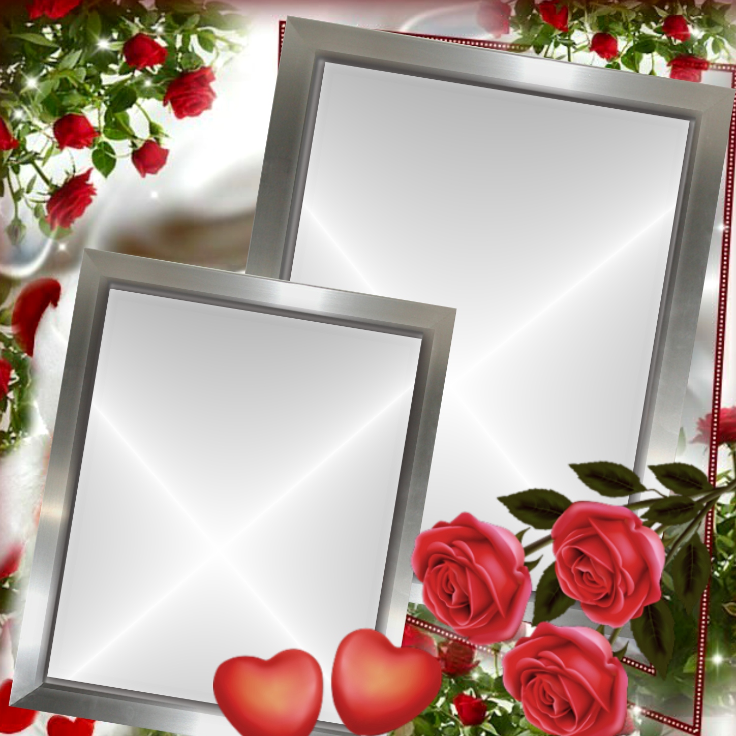 Emily50's Get Well Soon Frames - silverframe Roses get Well Soon ...