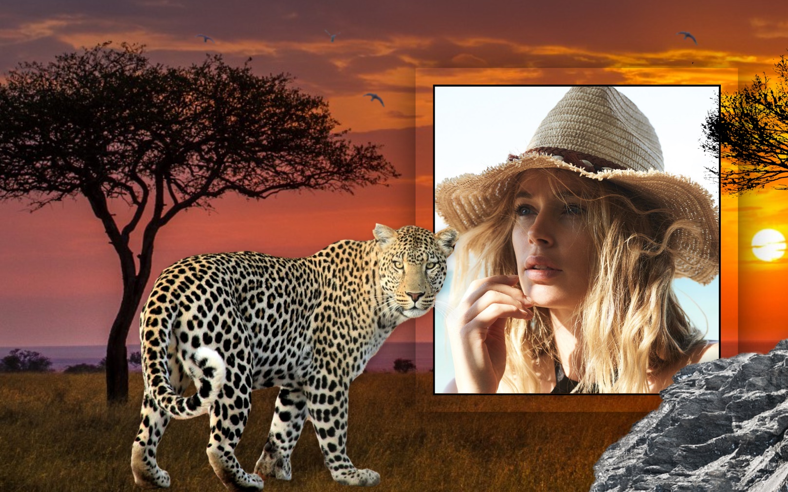 Elizabeth's ANIMALS & WILDLIFE 🙈 - Leopard Africa Elizabeth - Leopard ...