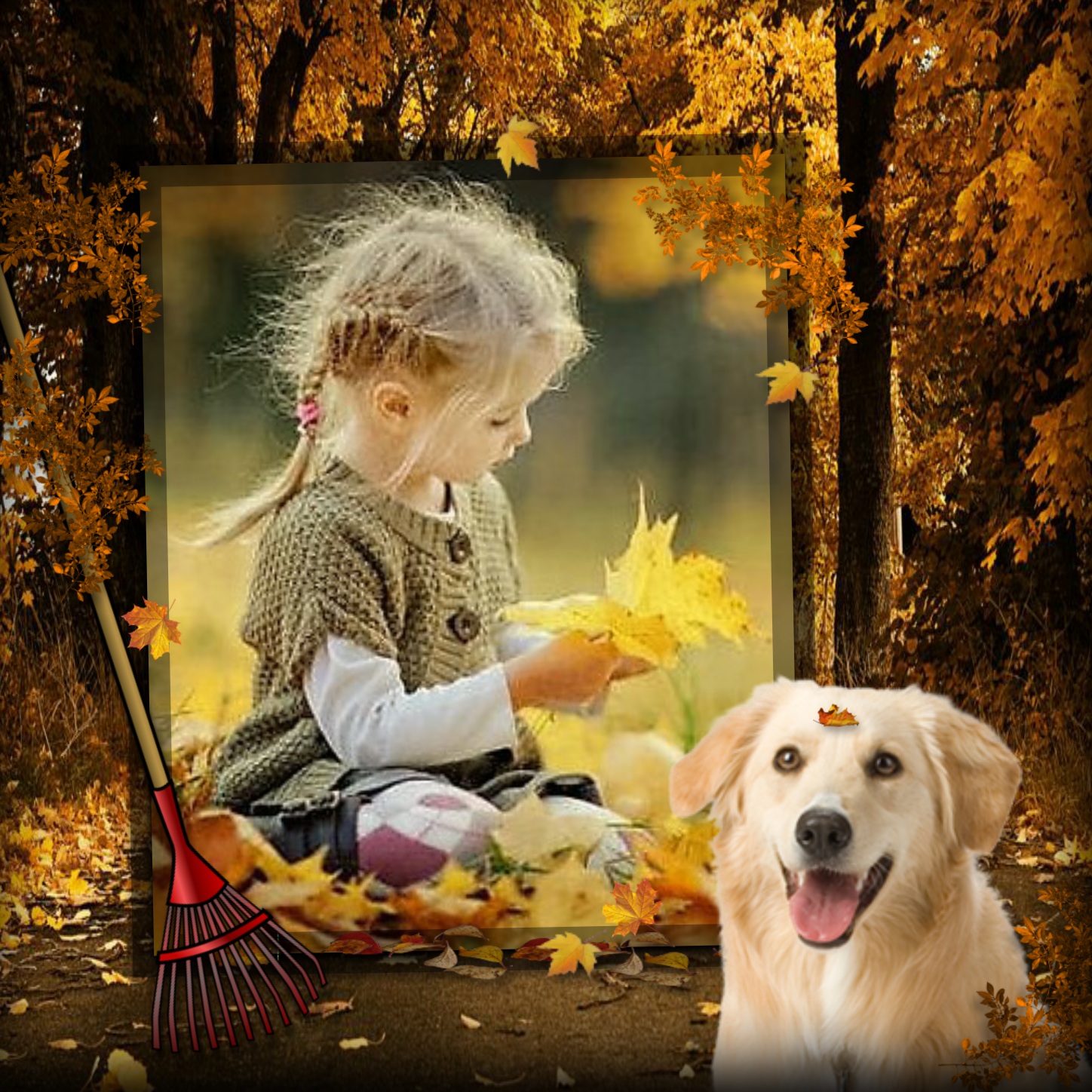 Elizabeth's AUTUMN/FALL 🍁 1/2 - Autumn Fall Falling Leaves - Autumn ...