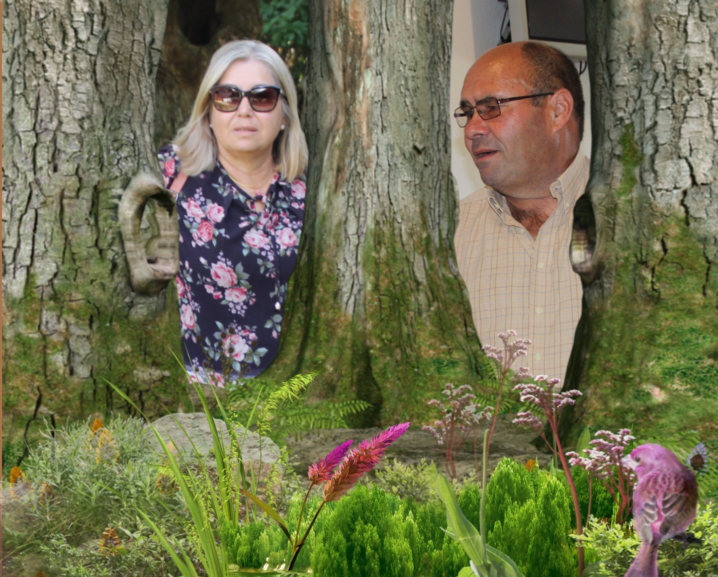 João Marques's First Stream - João Marques's First Stream