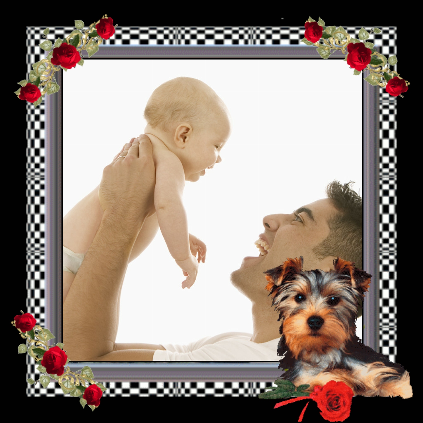 monatoo's Picture Frames - 2012 April - Yorkie Romance yorkie terrier ...