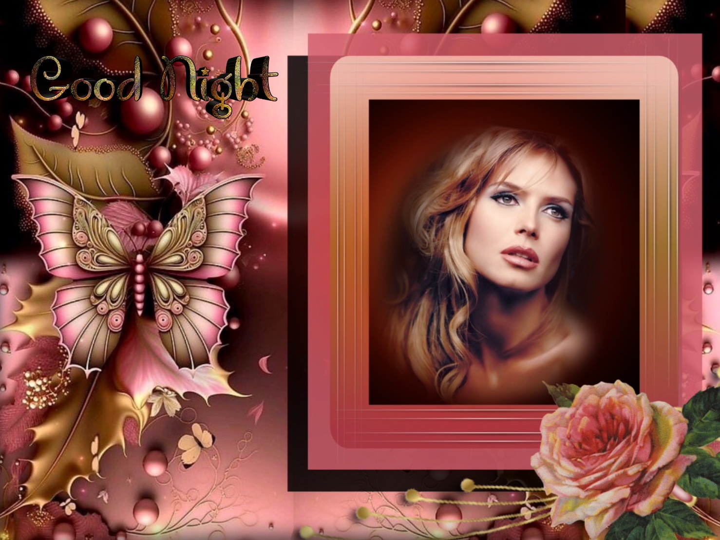 Wienie Coppen's Flowers,Goodnight,Sunset - butterfly goodnight rose ...