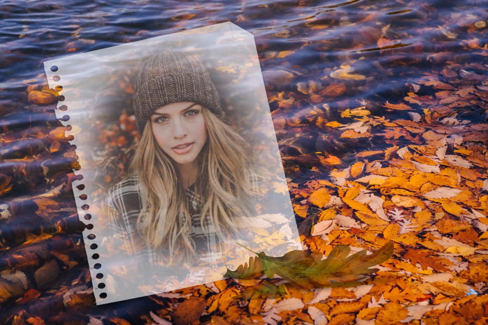 Nette's Fun Frame - Fun Frame 🖼 - Fun Frame Photo FrameNette - Fun ...