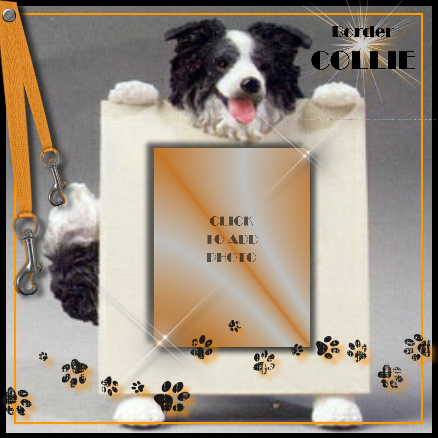 Lyrk31's Dog Frames - 2009 - 2010 October - Border Collie Border collie ...