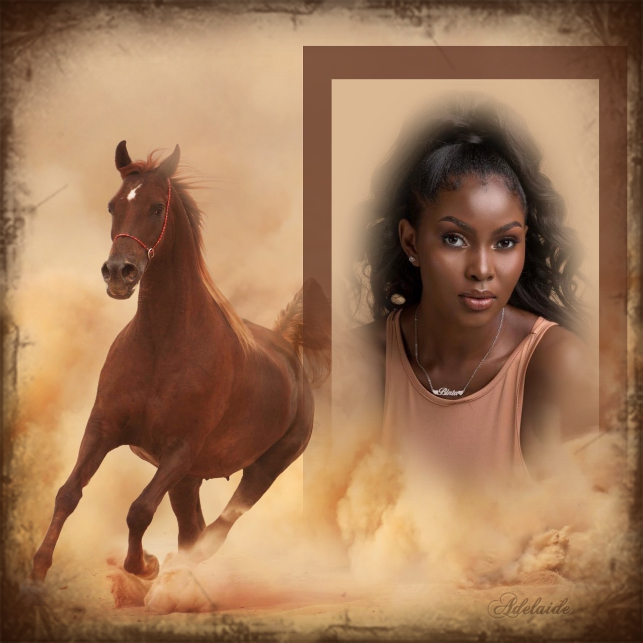 Adelaide's ANIMALS / PETS / ANIMAIS - Adelaide - Adelaide - Pets ...