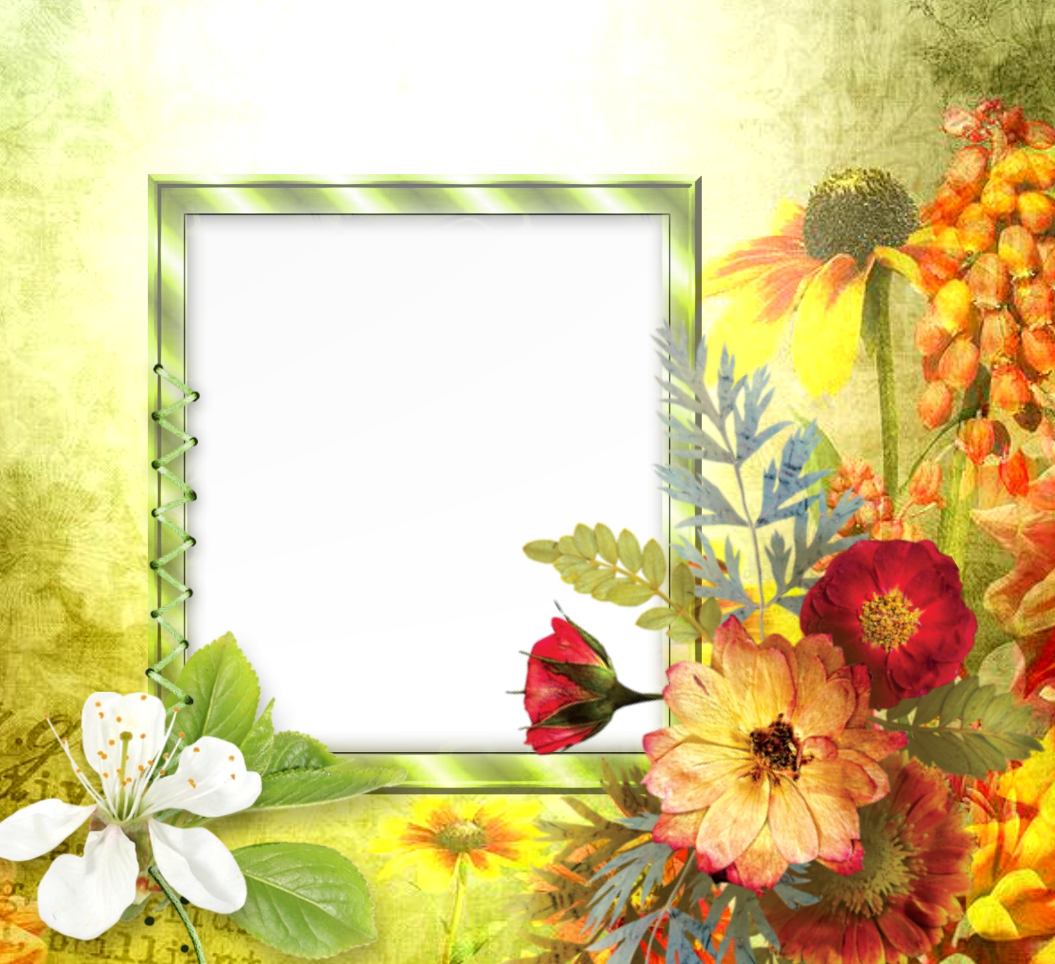 Emily50's Greeting Frames - Flowers - Photo Frame Ghy01 greetings ...