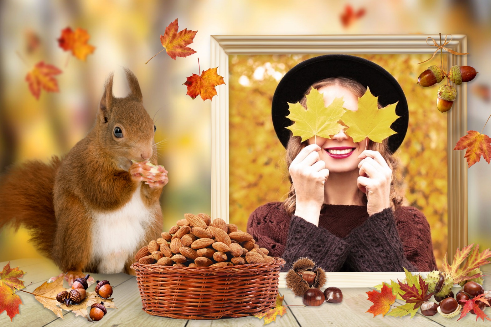 Elizabeth's AUTUMN/FALL 🍁 1/2 - Autumn Fall Falling Leaves - Autumn ...