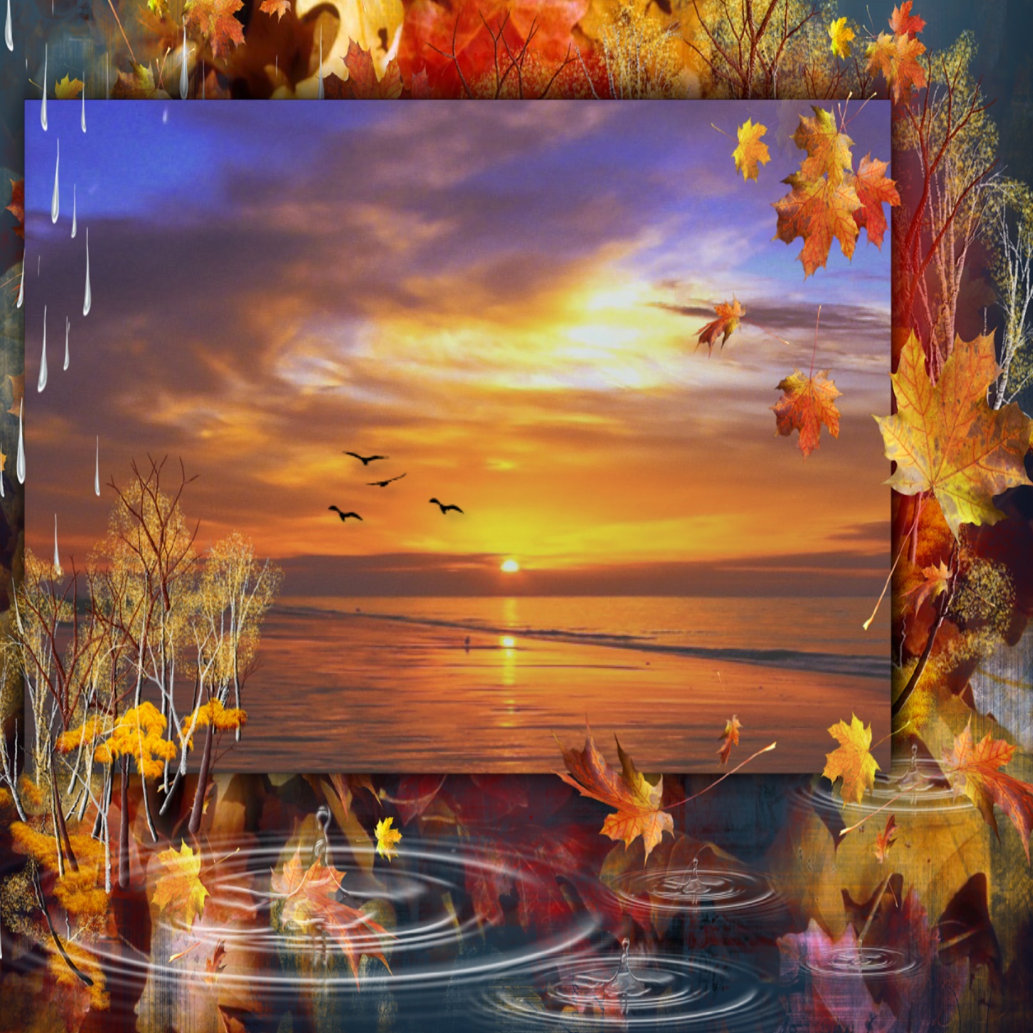 sonneedyta's Fall Frames - 2015 October - 2015 October - Autumn frame ...