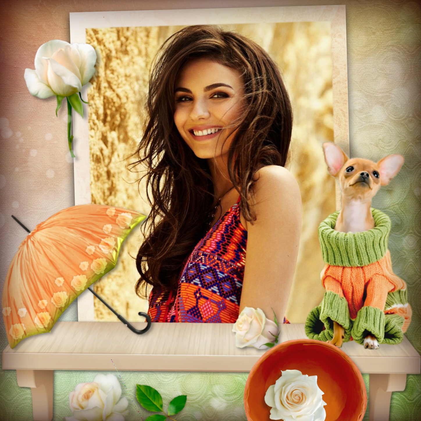 Elizabeth's CATS & DOGS 🐱 🐶 - Dogs Pets Elizabeth - Dogs Pets Elizabeth