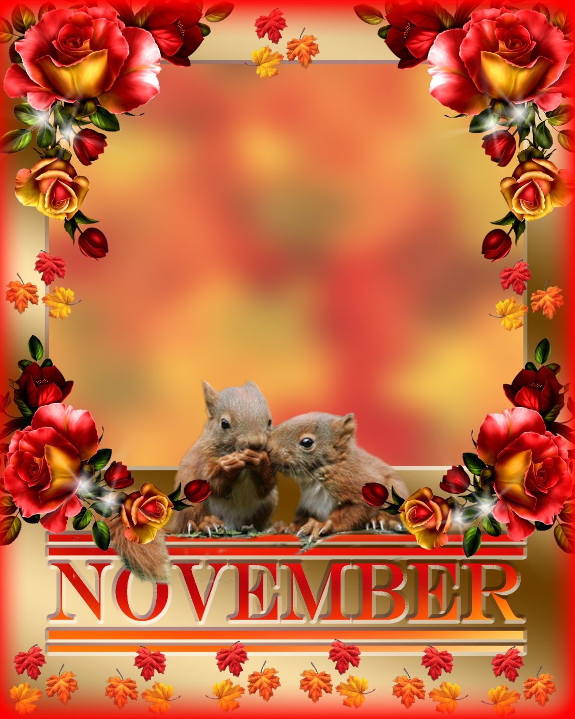 Sinnlich's ME! Frames - 2021 - November Animals Sinnlich Calendars Me ...