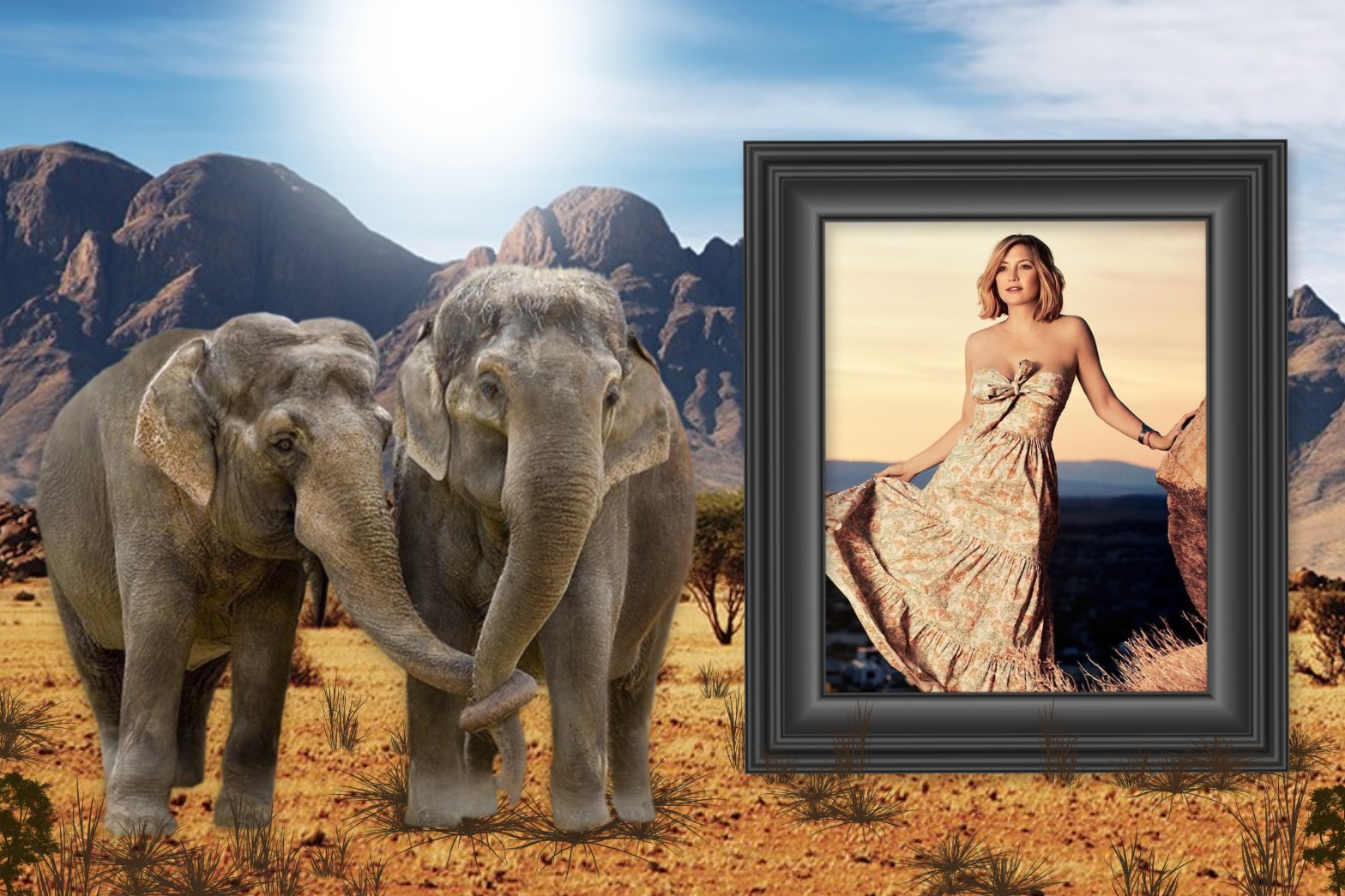 Elizabeth's ANIMALS & WILDLIFE 🙈 - Elephant Africa Elizabeth - Elephant ...