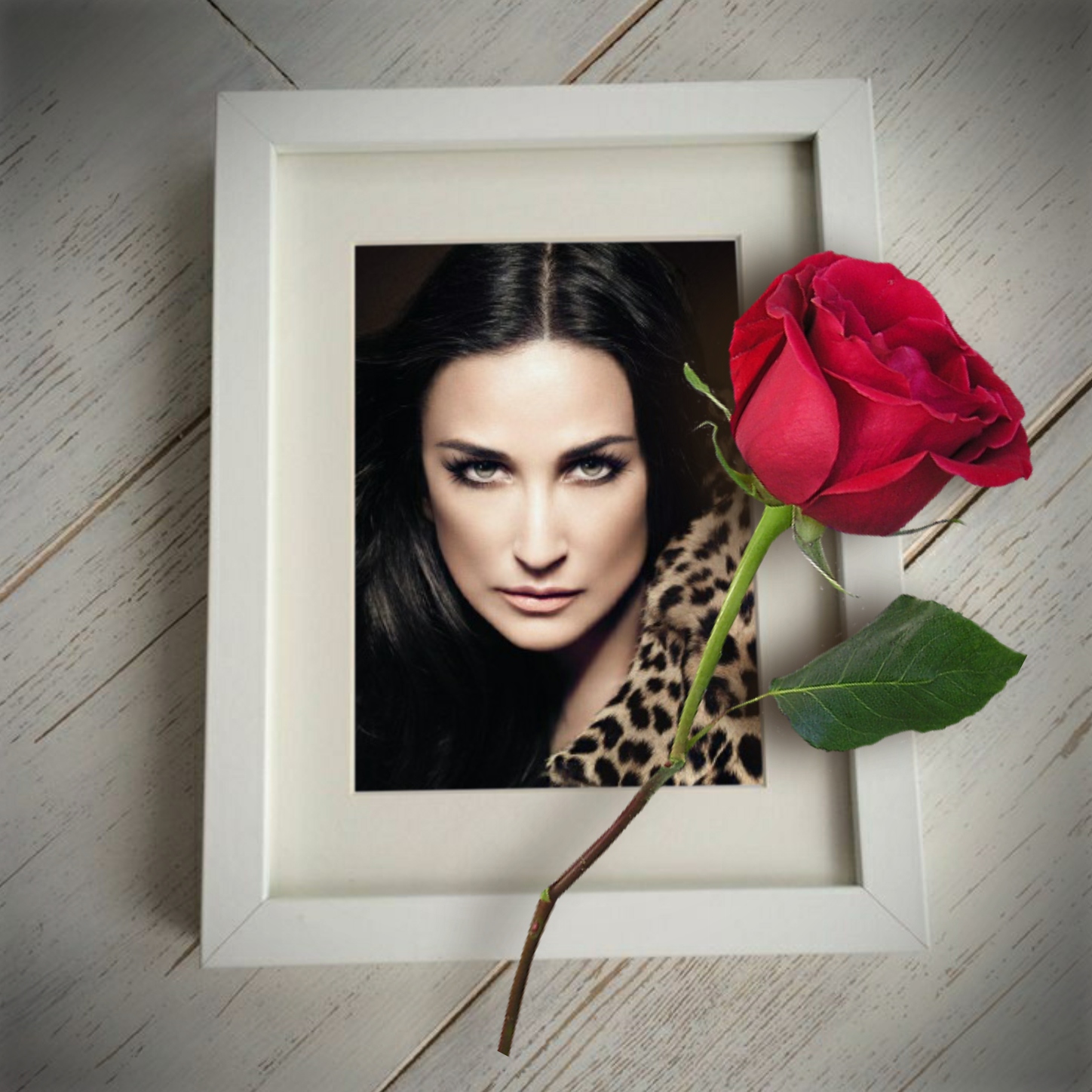 Jezebel64's Picture Frames - Red Rose Jezebel64 Have A Great Weekend ...