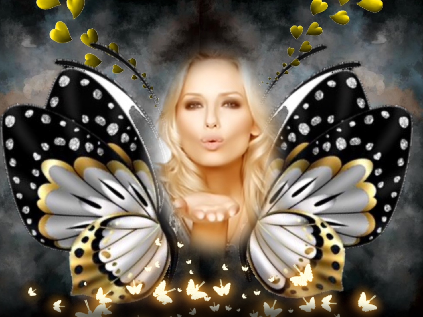 Wienie Coppen's Photos - beautiful butterflies portrait - beautiful ...