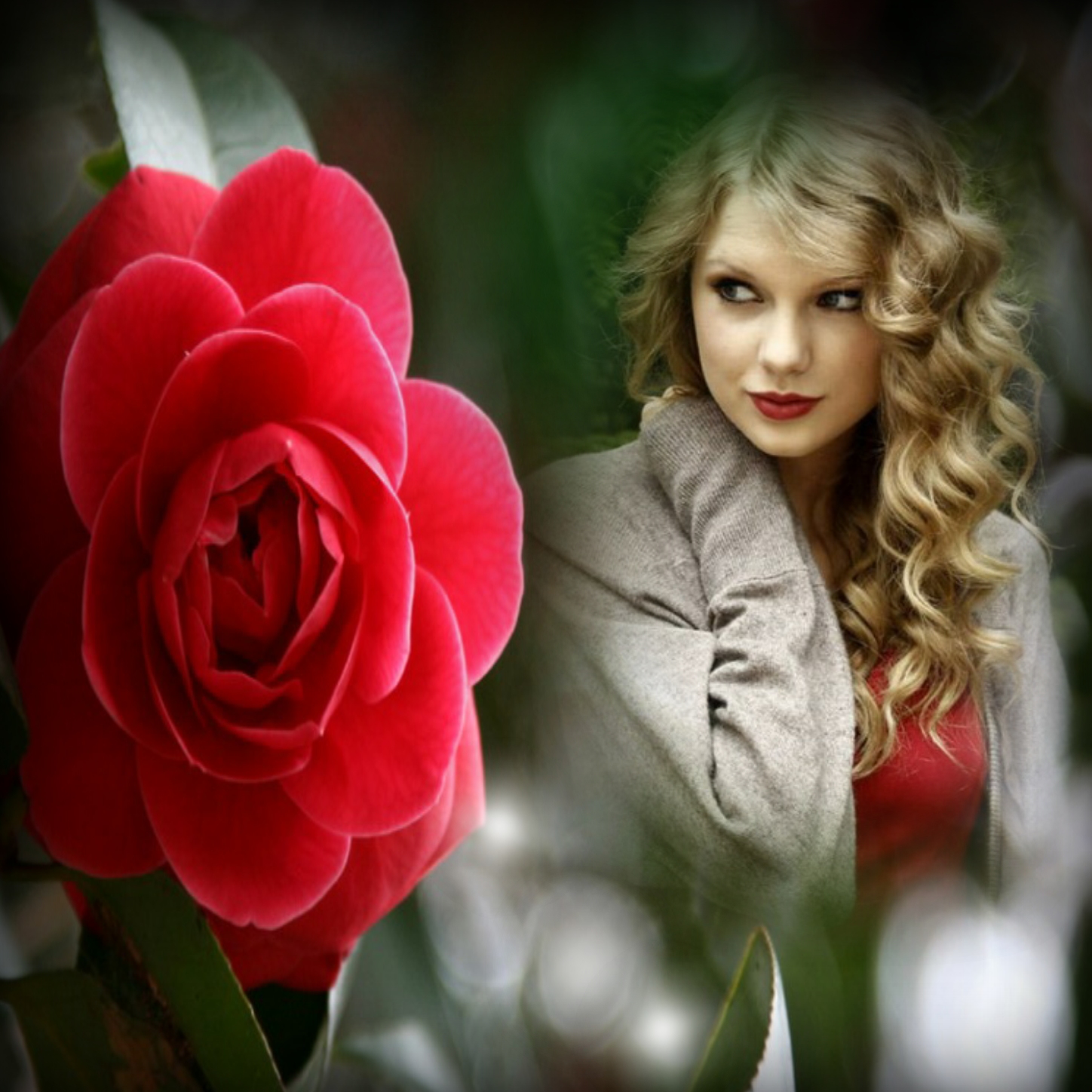 Elizabeth's THINKING OF/MISSING YOU 🥀 1/4 - Thinkingofyou Red Rose ...
