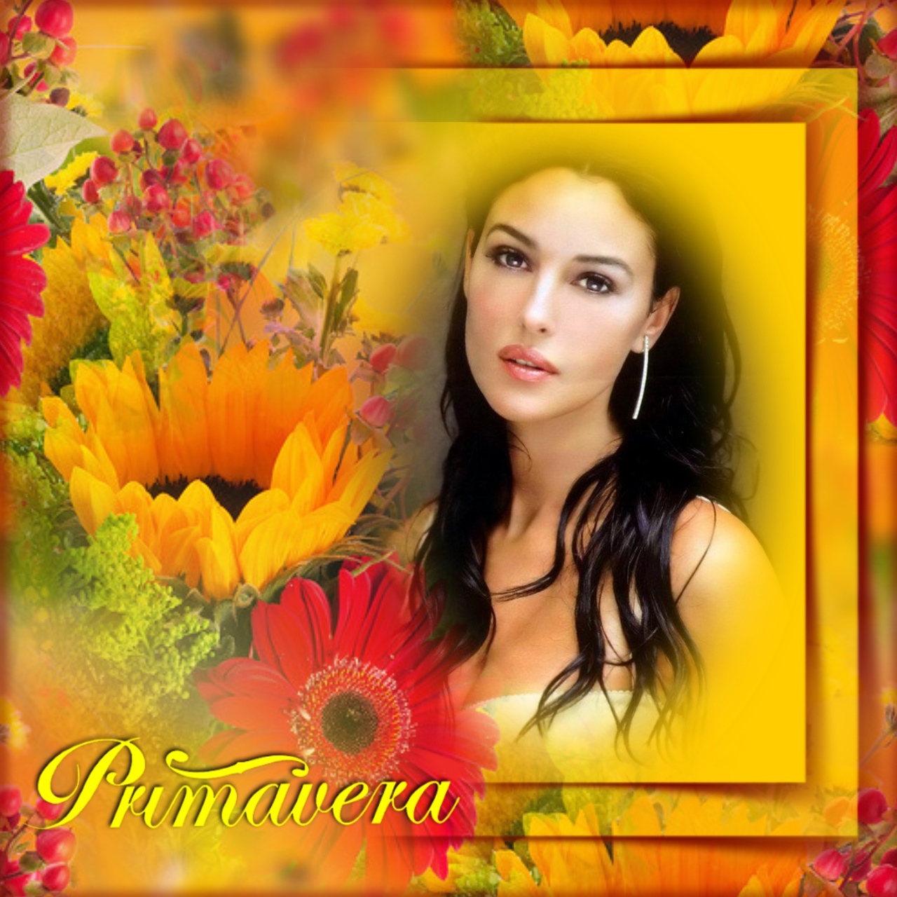 Adelaide's SUNFLOWERS - GIRASSOIS - GIRASOLES - Adelaide - Adelaide ...